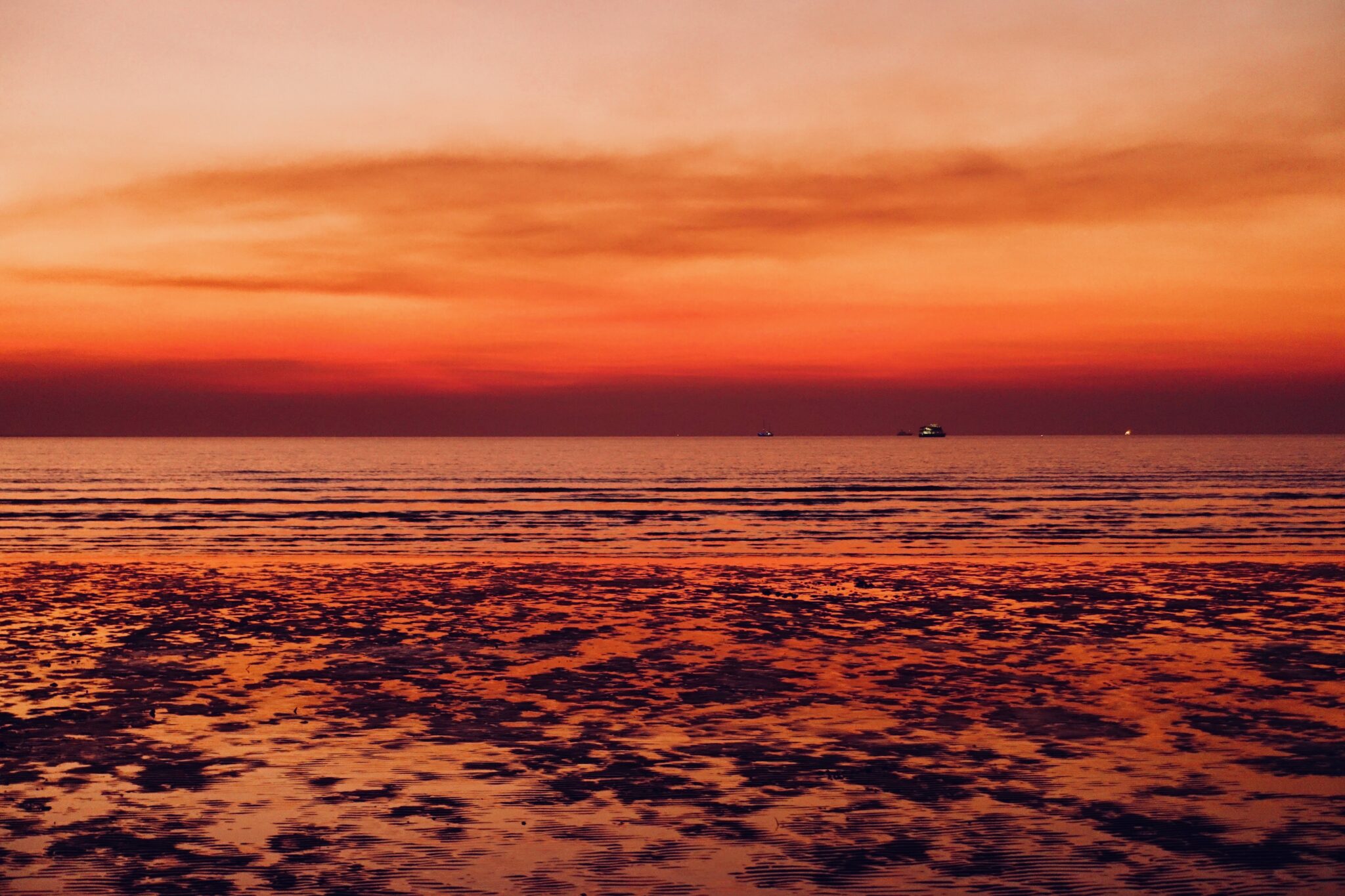 Unveiling the Tropical Oasis of Darwin in December