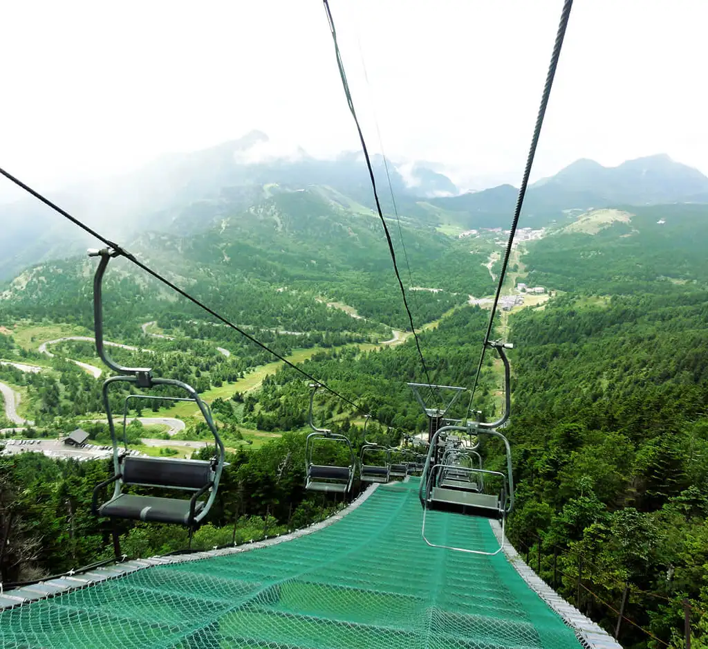 Snow Monkey, Shiga Kogen Nature, And Shibu Village 1 Day Tour