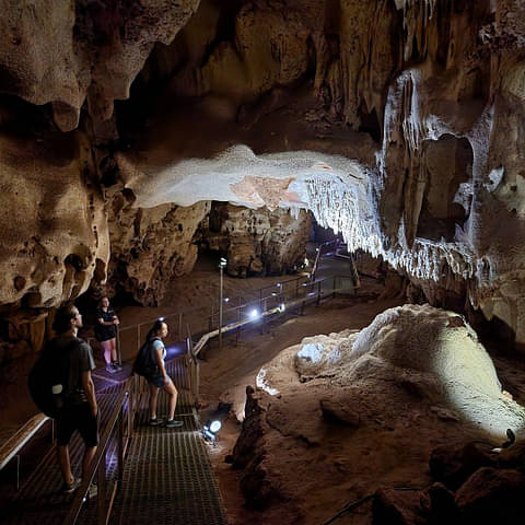 Cutta Cutta Caves Guided Tour | Backpacker Deals