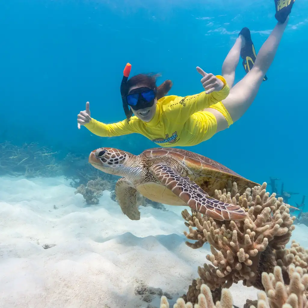 Ocean Rafting & Ocean Safari 2 Trip Deal | Backpacker Deals