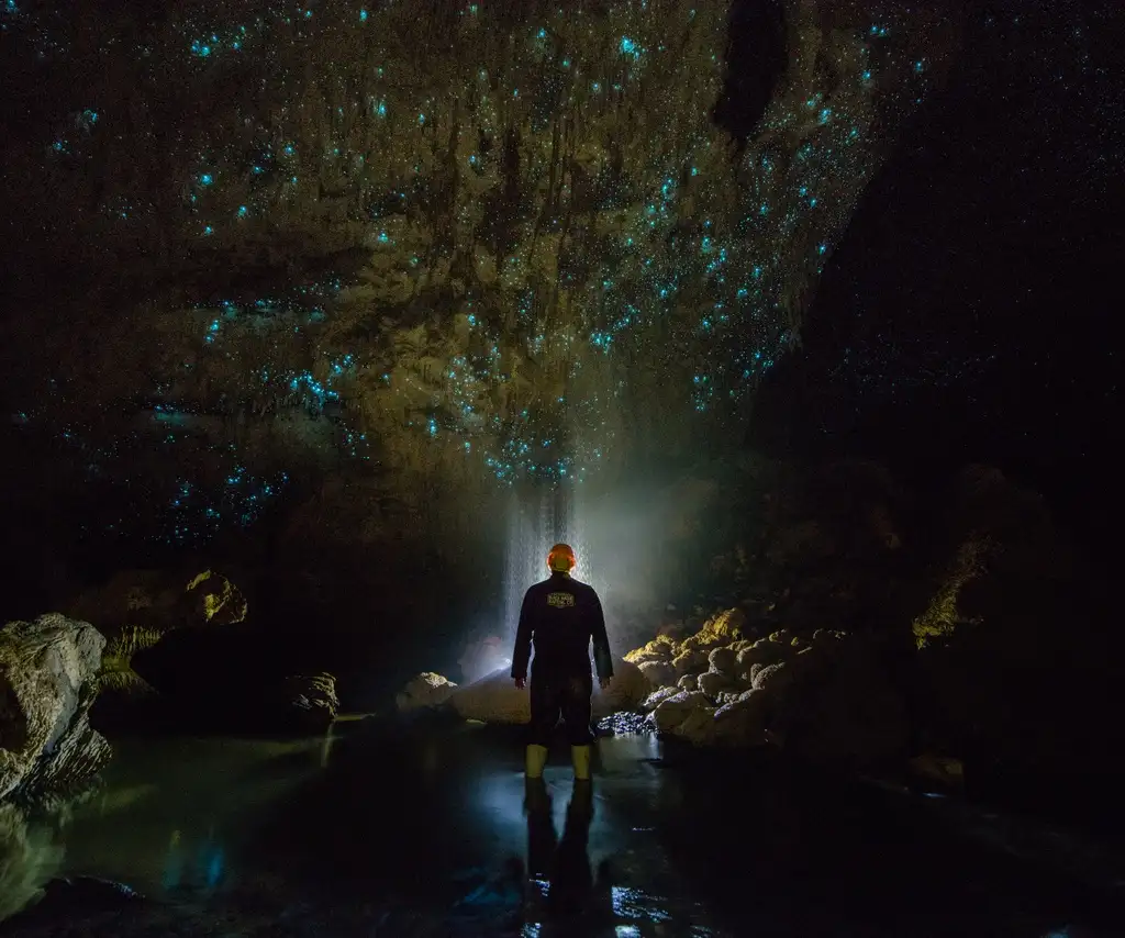 Waitomo Caves Boat Tour | Waitomo Glowworm Caves & Tours NZ ...