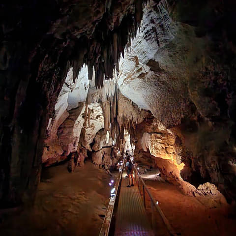 Cutta Cutta Caves Guided Tour | Backpacker Deals