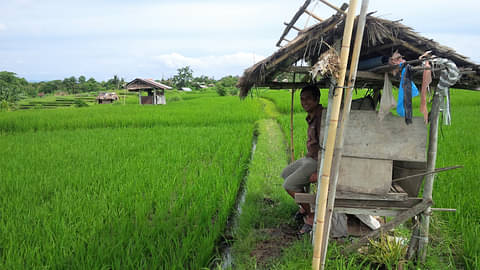 Hidden Rice Terraces Trek | Rice Field Bali | Now for just $39 ...