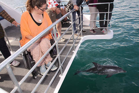 Jervis Bay Dolphin & Boom Netting Cruise | Backpacker Deals