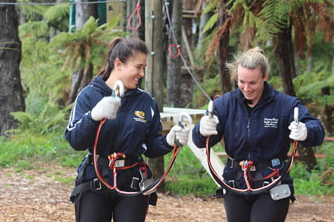 Adrenalin Forest Aerial Obstacle Course Christchurch | Book now and ...