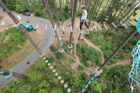 Adrenalin Forest Aerial Obstacle Course Christchurch | Book now and ...