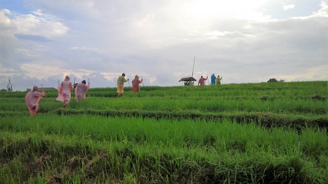 Hidden Rice Terraces Trek | Rice Field Bali | Now for just $39 ...