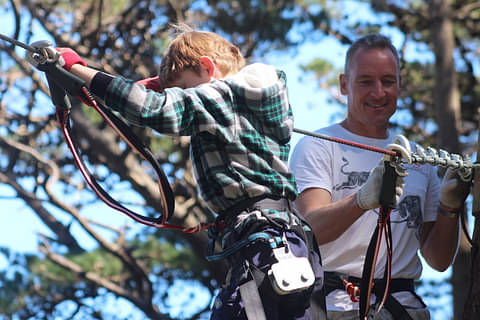 Adrenalin Forest Aerial Obstacle Course Christchurch | Book now and ...