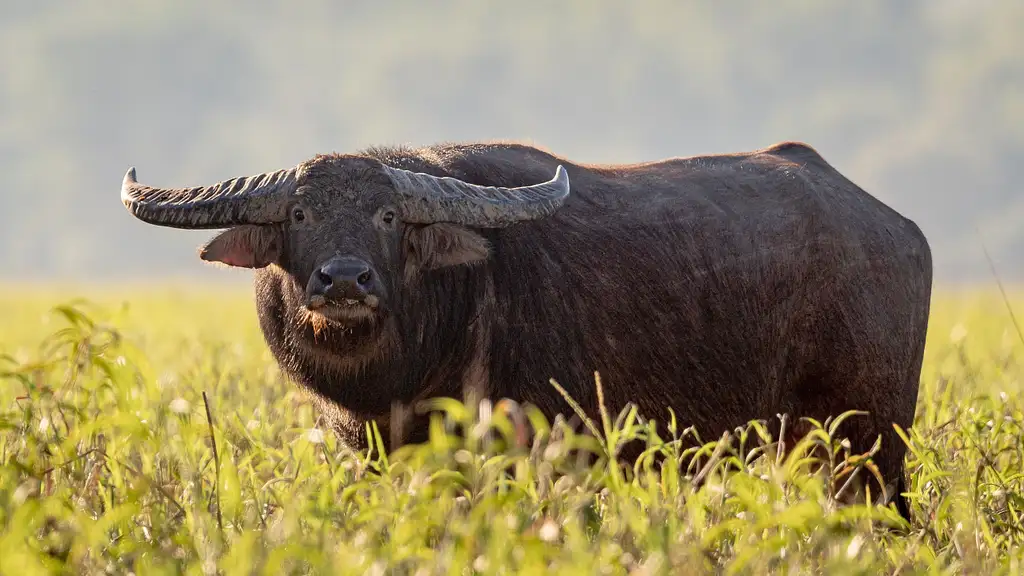 Kakadu National Park Night Tour | [[channelname]]