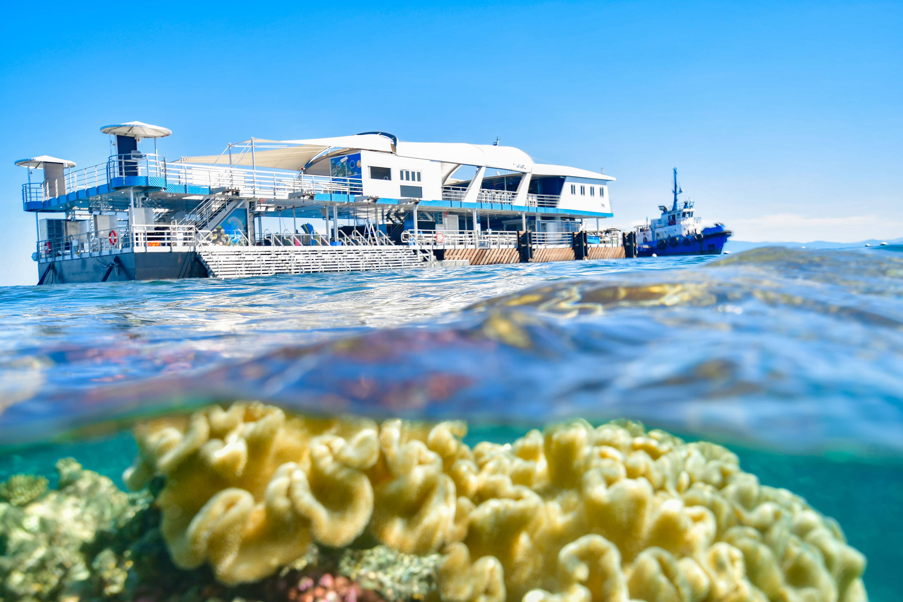 Cairns Cruise to the Great Barrier Reef | Backpacker Deals