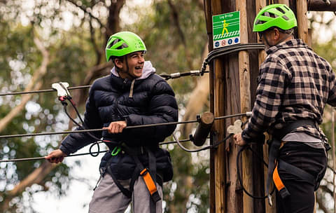 Lorne Super Circuit Treetop Adventure | Backpacker Deals