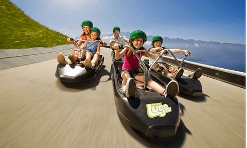 Skyline Queenstown Gondola And 3 Luge Rides Combo | Backpacker Deals